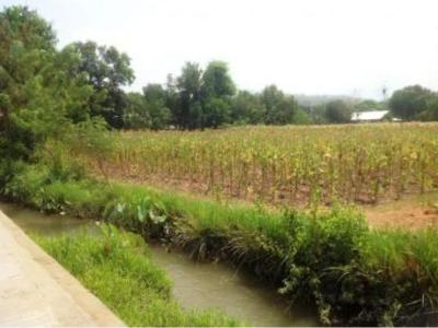 Bangar, La Union homes. Properties for sale in Bangar, La Union - Nestoria